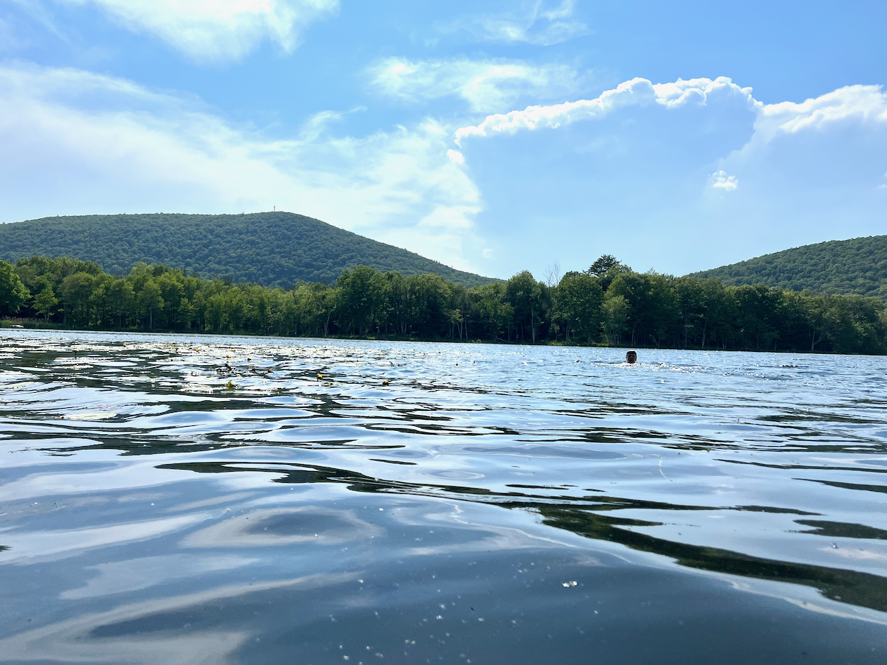 Deep Dive: How Stissing Lake Got Clean - The New Pine Plains Herald