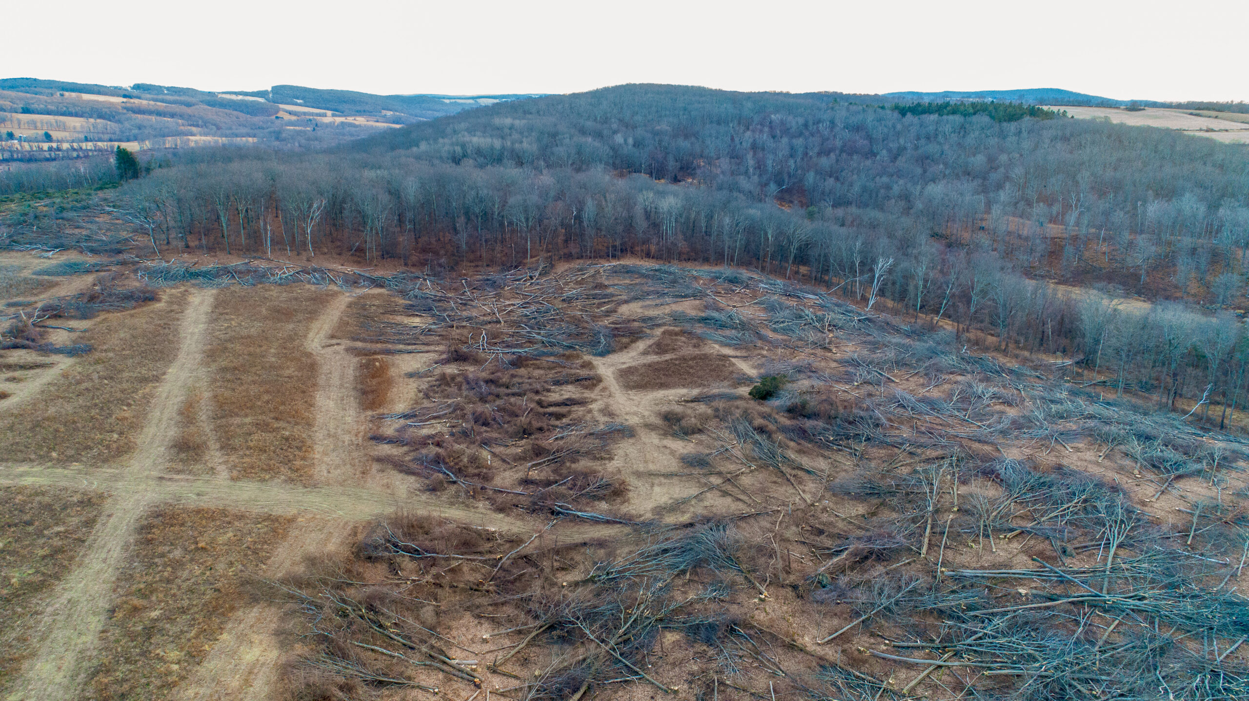 Carson Power Completes Tree Clearing for Pulvers Corners Solar Project ...