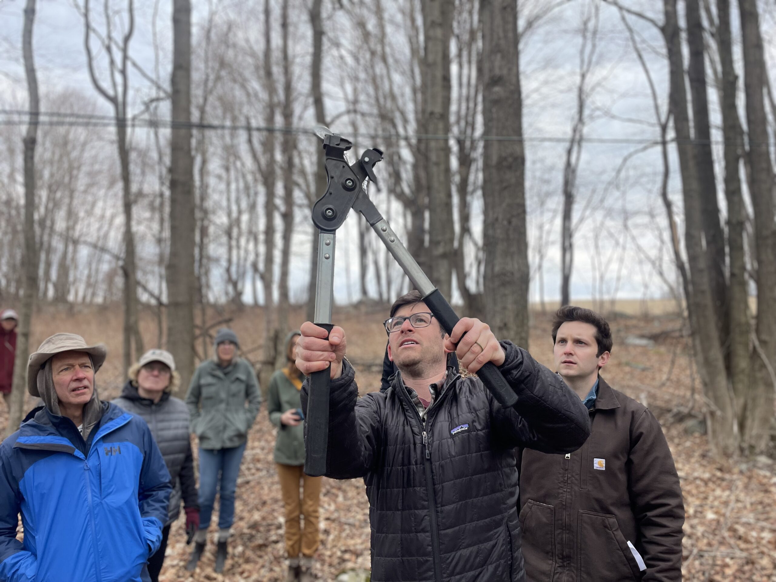 The Buck Stops Here: Protecting Local Forests With Deer Exclosures ...