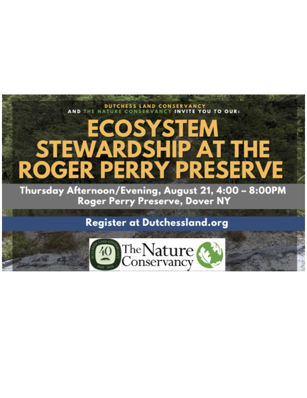 Ecosystem Stewardship at the Roger Perry Preserve - The New Pine Plains ...