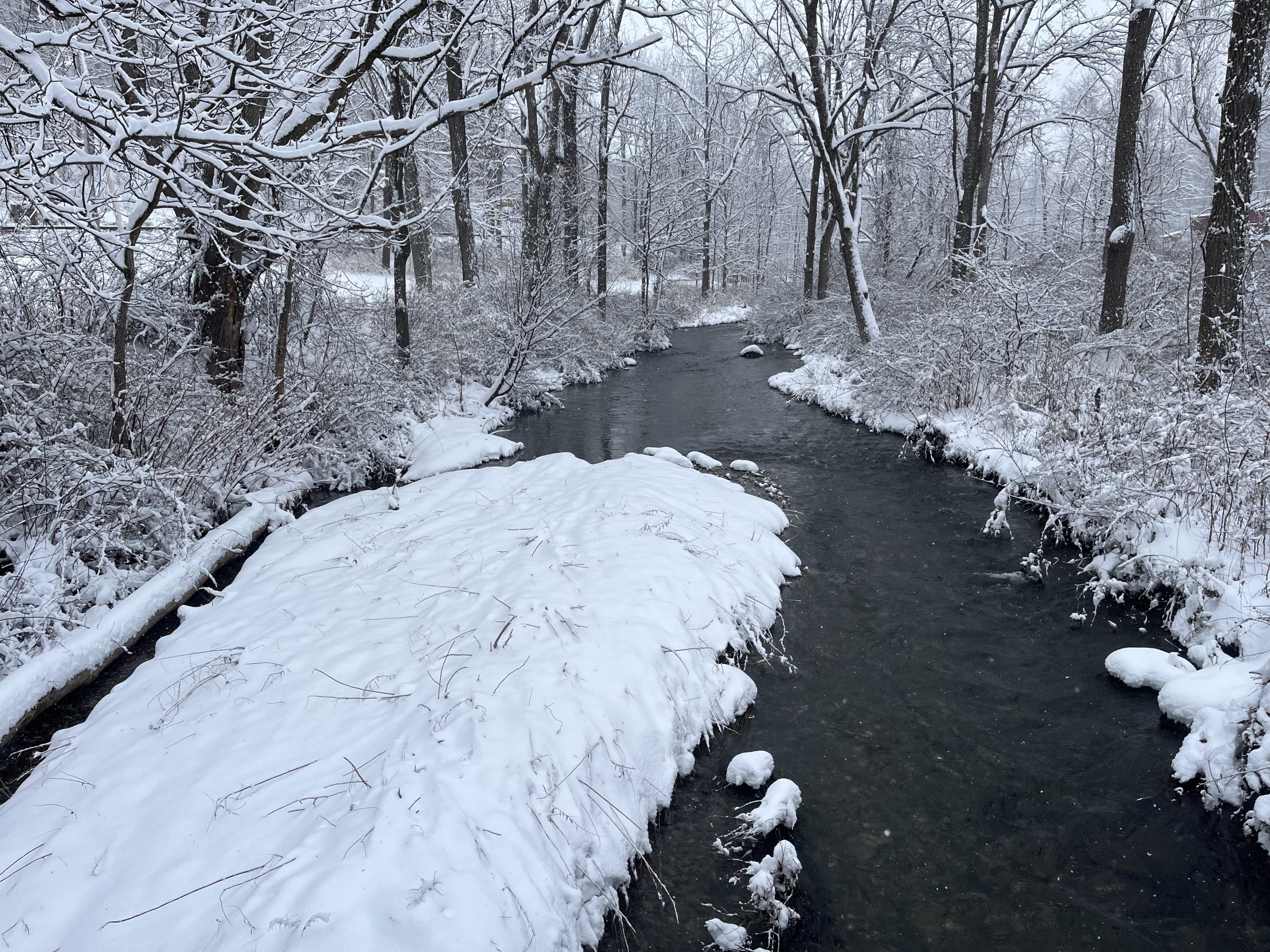 Field Notes: The Fascinating Ecology of Snow - The New Pine Plains Herald